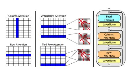 Stephen Malina Protein Language Models Part 2 Models