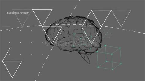 Animation Of Spinning Brain Over Figures And Network Of Connections