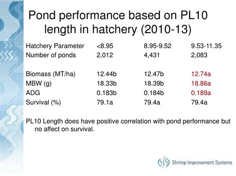 ppt shrimp improvement systems powerpoint presentation free download