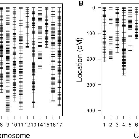Snp Based Genetic Linkage Maps For The Vk195xvk303 A And Vk876xvk101 Download Scientific