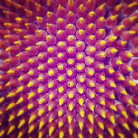 Kuning Pensil Total Foto Gratis Di Pixabay Pixabay