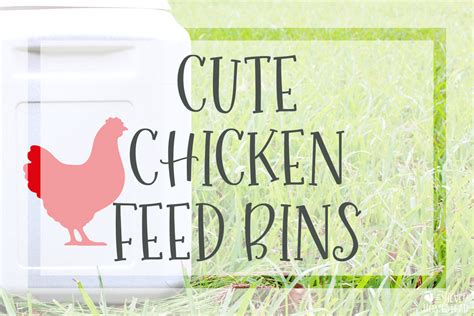 Rodent Proof Chicken Feed Storage Bins Silver Homestead