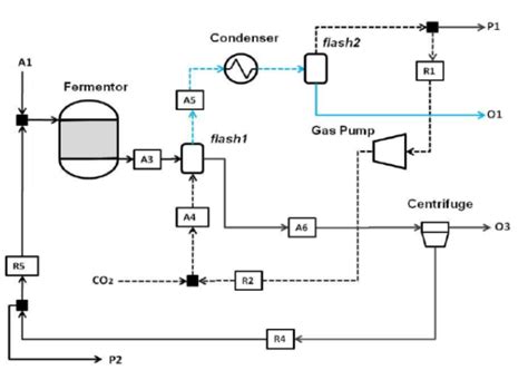 Difference Batch Fermentation And Continuous Fermentation VIVA DIFFERENCES