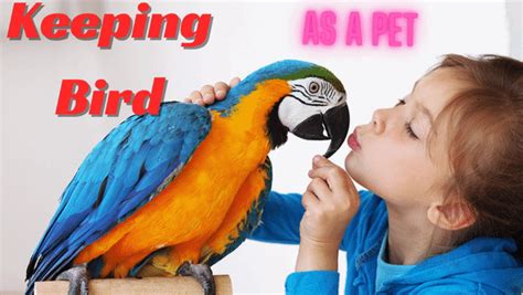 Nibir Network On Linkedin Ekchmdyq