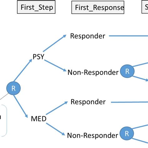 The Layout Of The Proposed Model For Dynamic Treatment Regime Download Scientific Diagram