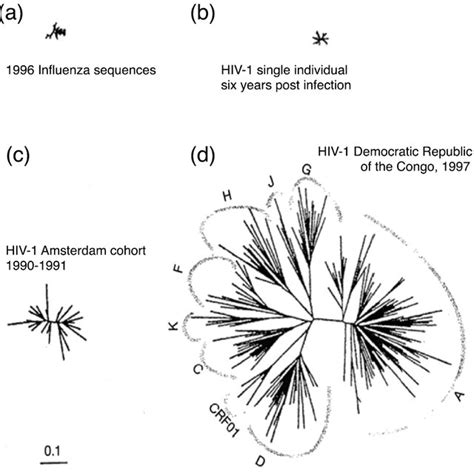 Comparison Of Phylogenetic Trees Generated From Collections Of Hiv And