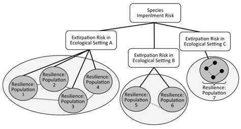 Conceptual Model Depicting The Hierarchical Relationships Among Download Scientific Diagram