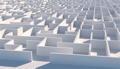 Scientists Identify Cells Involved In Correcting Errors During Spatial