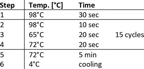Pcr Cycling Conditions For Indexing Pcr Download Scientific Diagram