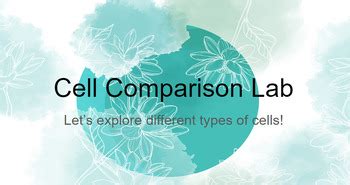 Cell Comparison Lab Biology Types Of Cells By Grace Postiglione TPT