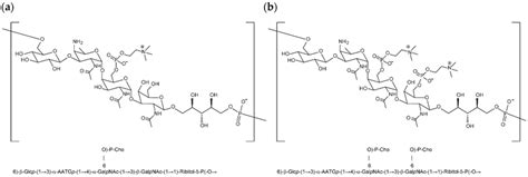 Repeating Unit Structures Of Pneumococcal Cell Wall Polysaccharides Download Scientific