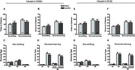 Effects Of Naspm Infused Into The Dorsomedial Striatum And Dorsolateral Download Scientific