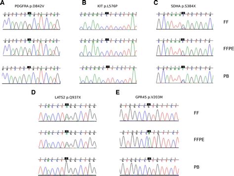 Validation Of Selected Somatic Mutations By Sanger Sequencing On Ff And Download Scientific
