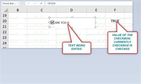 How To Enlarge Checkbox In Excel At Sally Patrick Blog