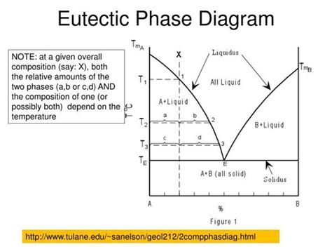 Binary Eutectic Phase Diagram