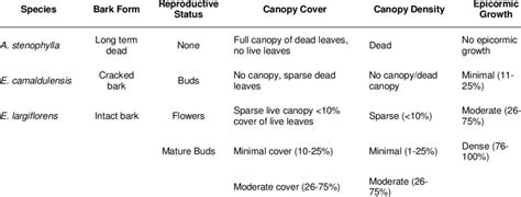 Tree Health Assessment Criteria Souter Et Al 2010 Download Table