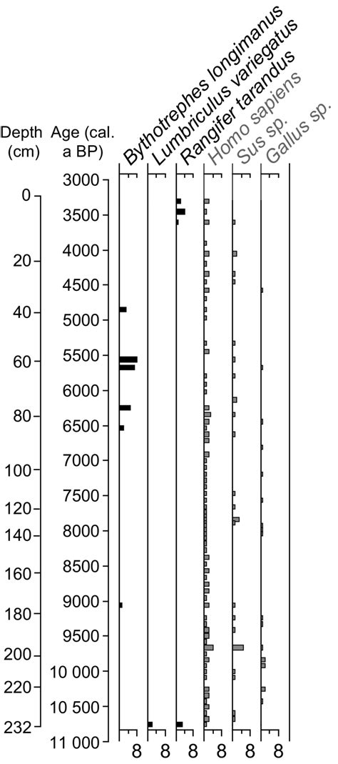 Metabarcoding Results For The Varanger Core The Width Of The Bars Download Scientific Diagram