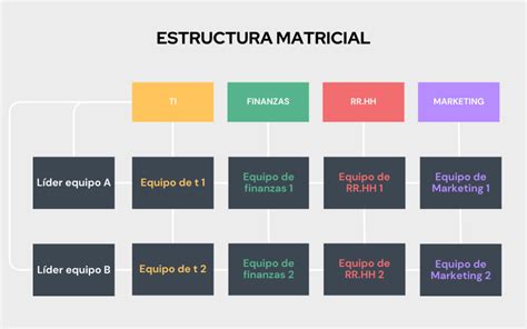 Organización Matricial ¿qué Es¿cuándo Aplicarla