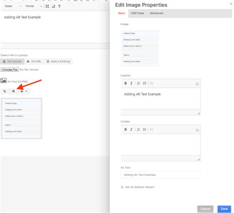 alt text cms support