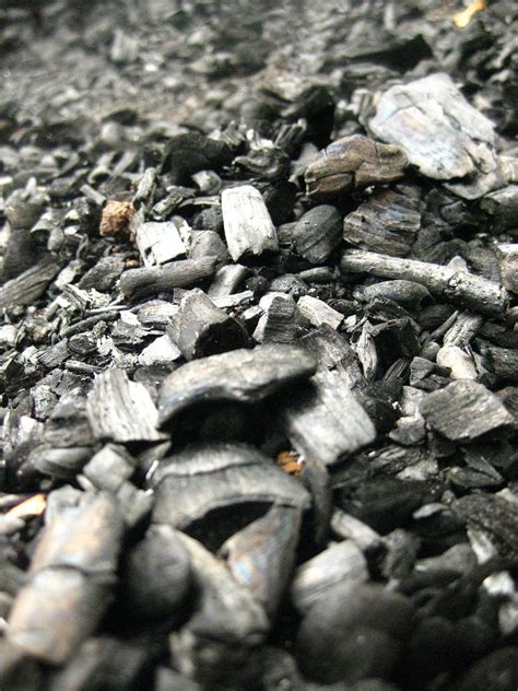 Arang Berkemah Api Unggun Foto Gratis Di Pixabay Pixabay