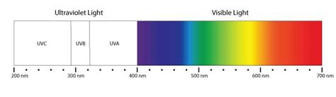Optimizing Indoor Agriculture Leveraging The Power Of UVA Spectrum UPRtek