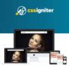 DOWNLOAD CSS Igniter The Styler WordPress Theme 1 4 5 ThemePlugin Org