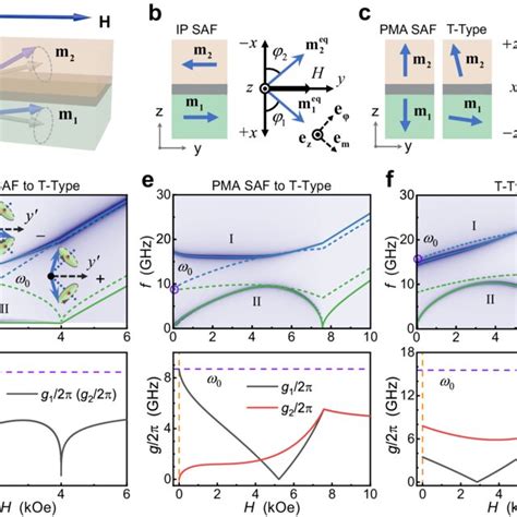 Guoqiang Yu Professor Associate Phd Chinese Academy Of Sciences