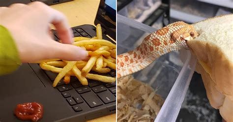 Who Ordered The Big Batch Of Weird