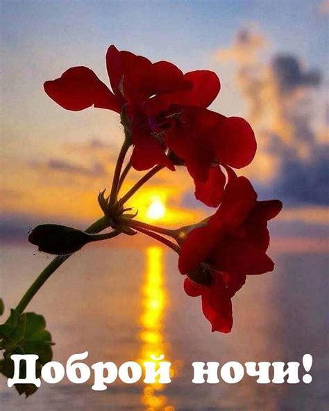 Доброй ночи Ночь Тихая ночь Спокойной ночи