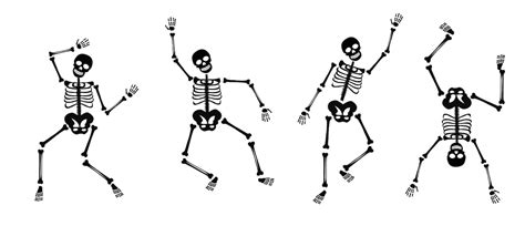 Premium Vector Dancing Human Skeletons Vector Set Different Skeleton Poses Set Isolated On Premium Vector Dancing Human Skeletons Vector Set Different Skeleton Poses Set Isolated On