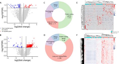 Csbl Long Noncoding Rna Paper