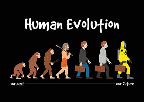 Future Human Evolution Timeline