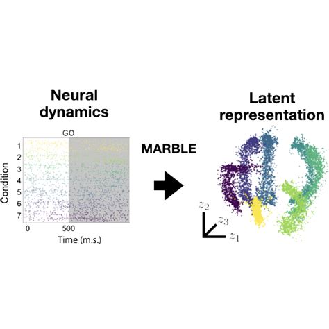 dynamics of neural systems laboratory