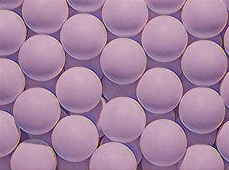 Designing Text Fields According To User Experience Principles