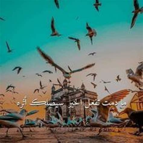stream sarah abo elhassan music listen to songs albums playlists