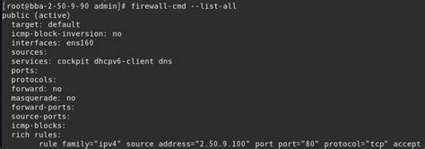 国产anolis Os龙蜥操作系统安装adguard Home教程anolis Os Release 79 Csdn博客