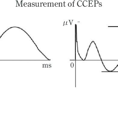 Typical CCEP Configuration CCEP Typically Consists Of An Early Negative Download Scientific