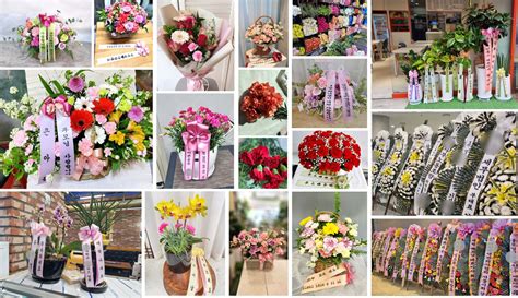 전국 꽃배달 서비스 정성 꽃배달 정성꽃배달 전국 꽃바구니 꽃배달 화환 화분