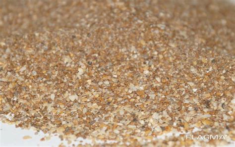 Ракушка кормовая морская — Купить в Донецке на Flagma Ua 12331175