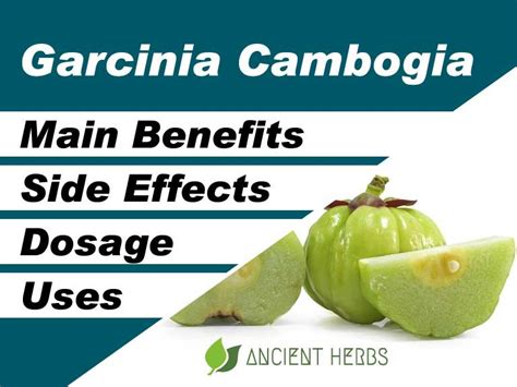 Garcinia Cambogia Benefits Uses Dosage And Side Effects