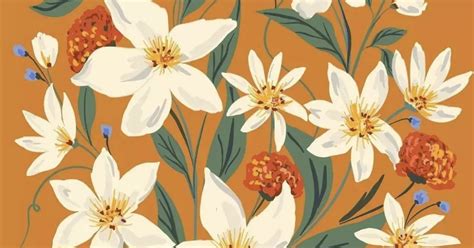 Seduced By The New Instagram