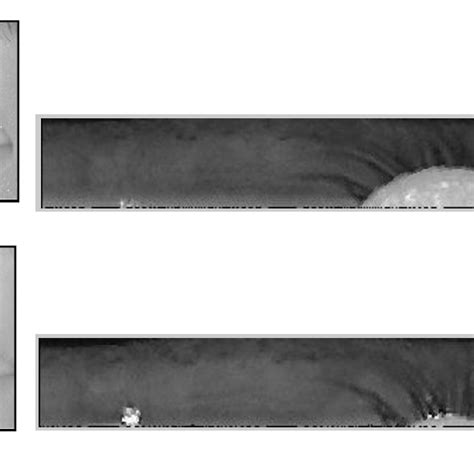 localized iris unwrapping to normalized polar coordinates of two images