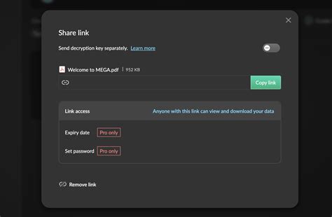 Complete Guide Of MEGA And How To Use MEGA As File Management Business Improvement And