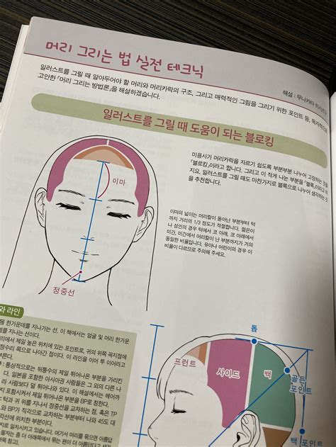 🎨익명의 자료계 On Twitter 📚 짧은머리부터 긴머리 스트레이트와 컬 땋은 머리카락과 트윈테일등 여성의 여러 헤어스타일을 그리는 데 도움이 되는 카탈로그입니다