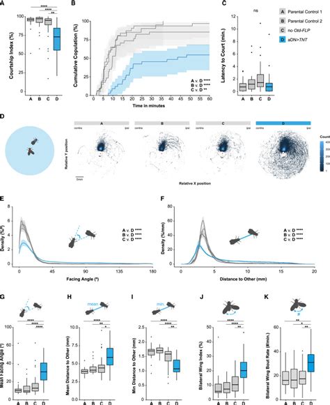 A Sex Specific Switch Between Visual And Olfactory Inputs Underlies Adaptive Sex Differences In