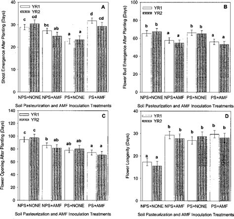 Infl Uence Of Soil Pasteurization And Inoculation With The Arbuscular Download Scientific Infl Uence Of Soil Pasteurization And Inoculation With The Arbuscular Download Scientific