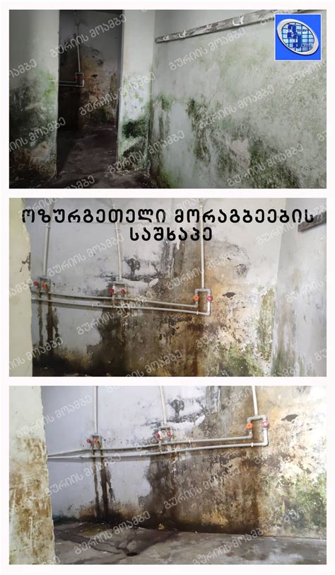 არჩილ თალაკვაძის შეუსრულებელი დაპირებები ანუ რის “გაპრავებას” ცდილობს “ოცნება გურიის მოამბე