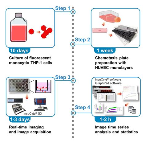 Cell Press Star Protocols
