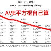 沐子徐 的想法 AMOS 结构方程模型数据解读一 一效度分析成熟量表CFA 自己开发的EFA 收敛效度 聚合效度 Convergent validity 概念各个指标是否