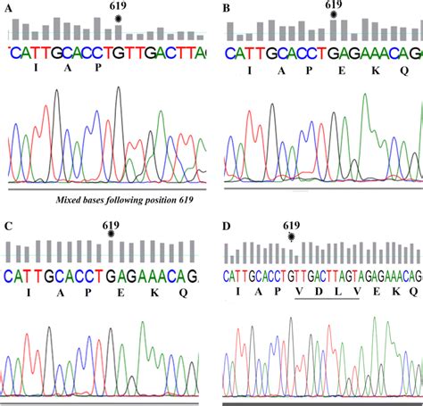 Electropherograms Showing The Sequence Of Viral Rna Harvested From The